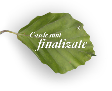 Liziera de Lac - complex rezidential de case (15 minute de Bucuresti)